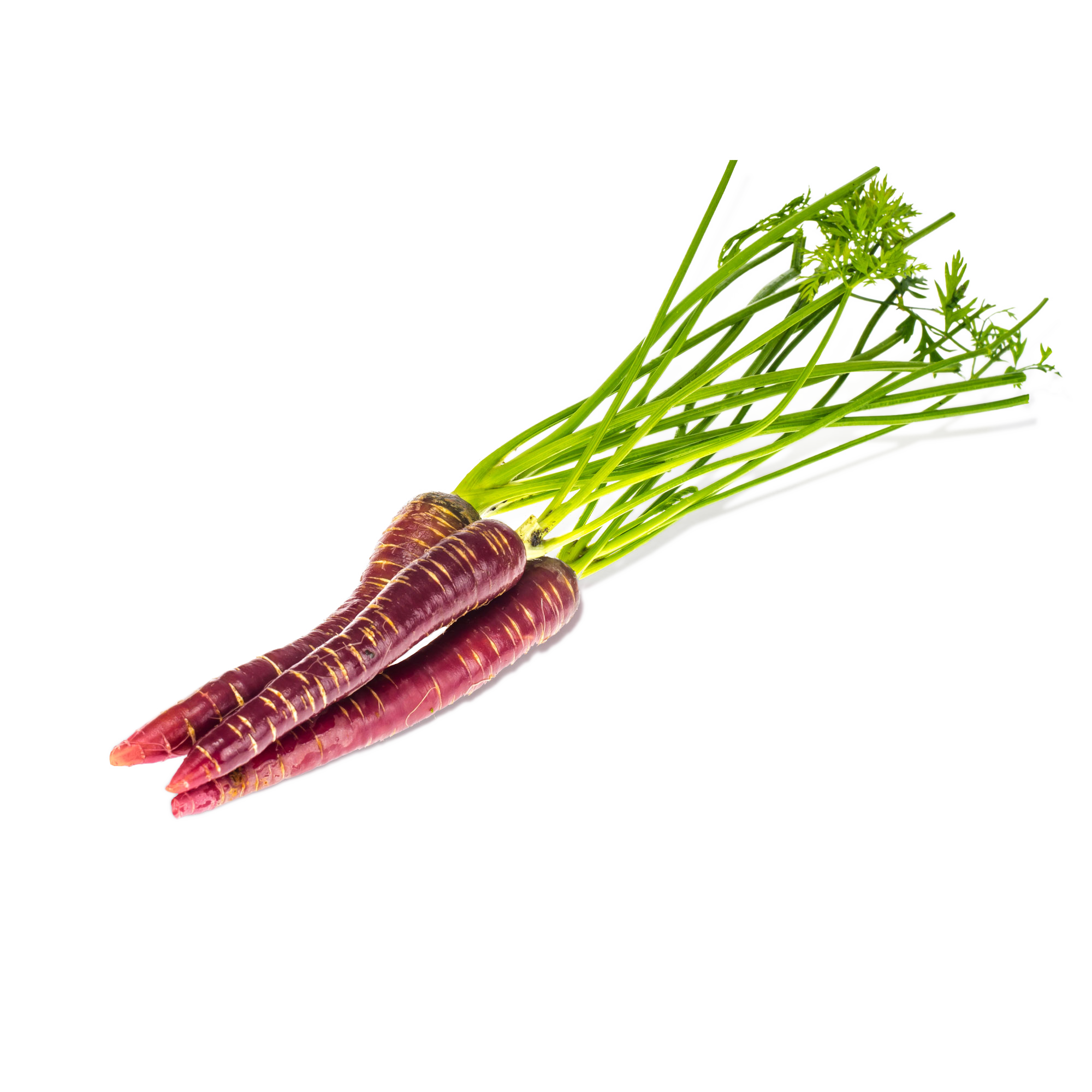 Organic Purple Carrot – Blueshift Nutrition